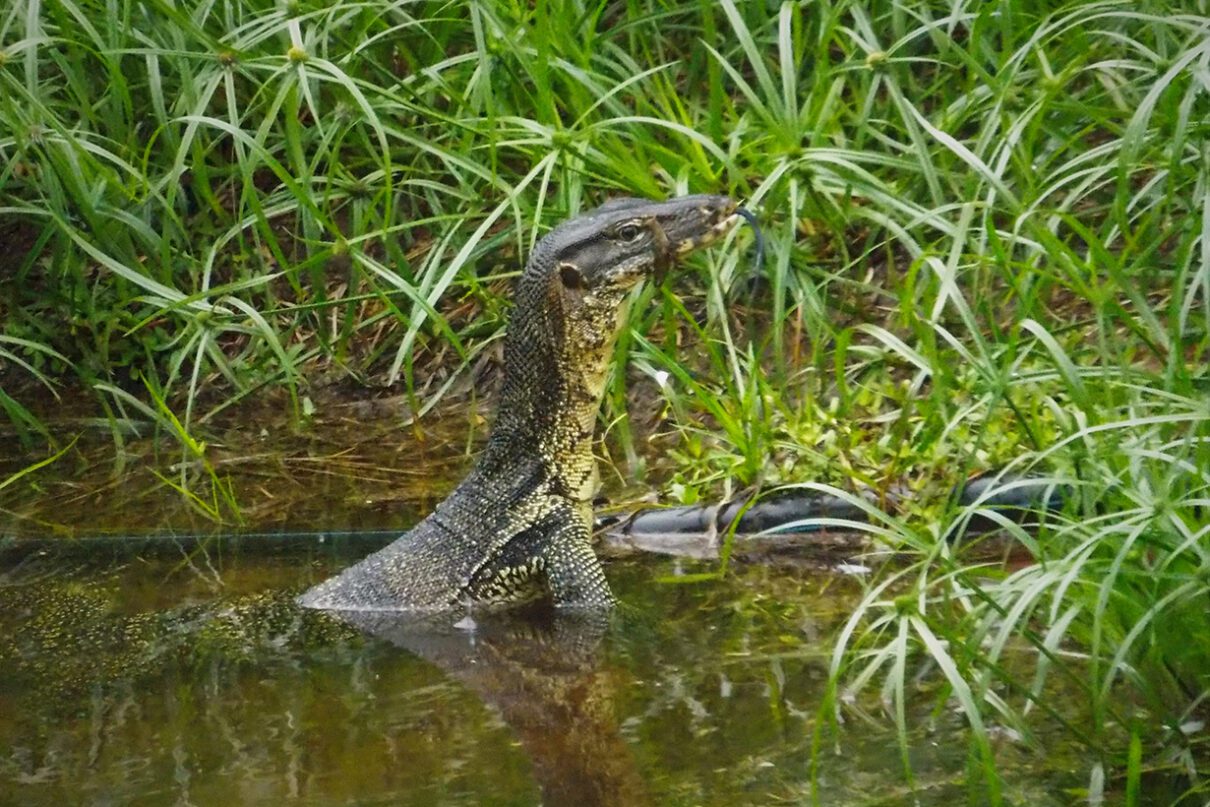 Deszcze niespokojne (1)
