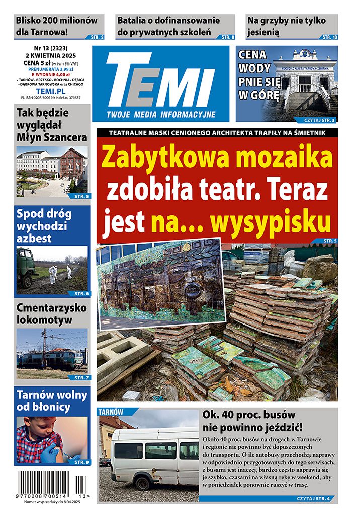 TEMI – e-wydanie 13/2025
